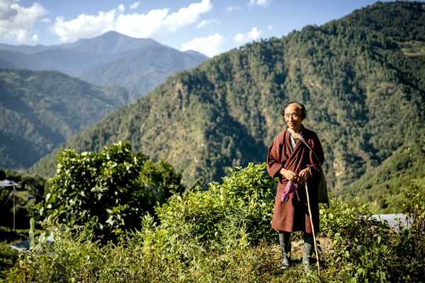 Masutake Mushroom Festival 20th to 21st August 2026 - Tour Bhutan
